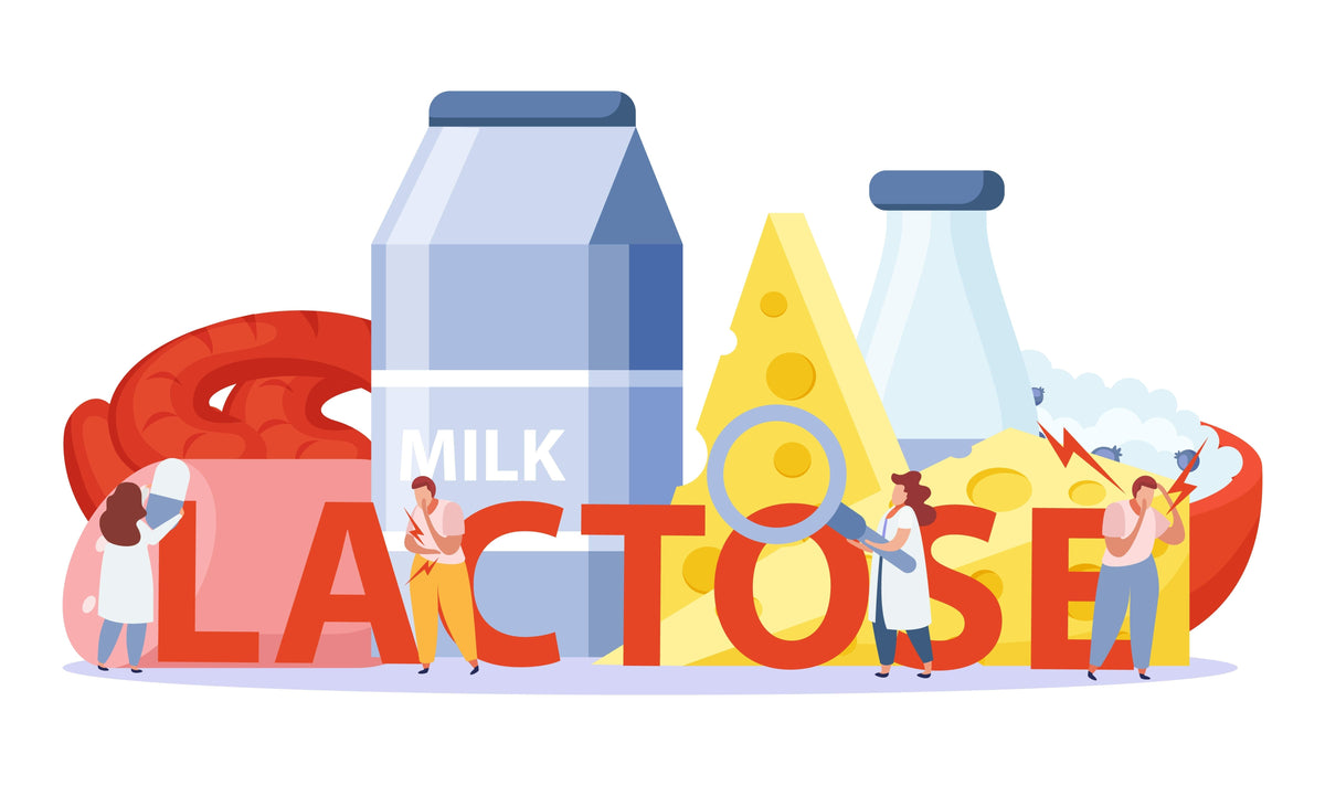What Foods to Avoid for Lactose Intolerance & Milk Allergy