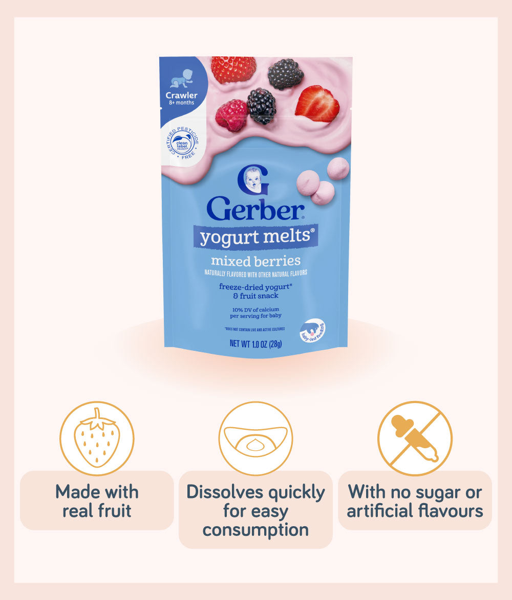 Gerber Yogurt Melts Mixed Berries 28g Pouch – BB King Kong